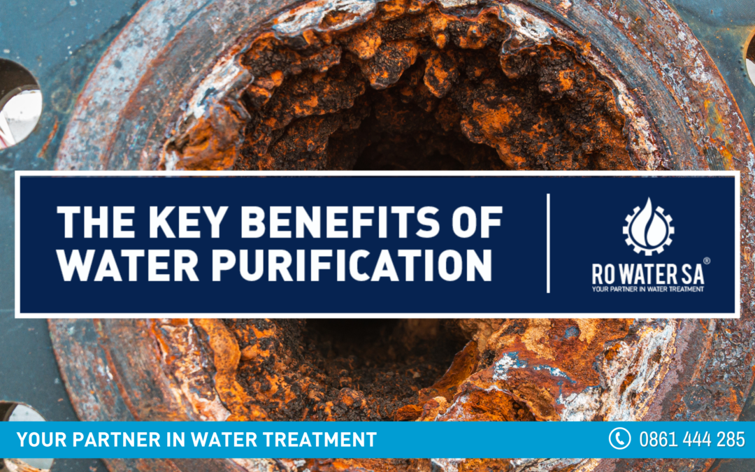 How Water Purification Systems Protect Your Business Equipment | Clean ...